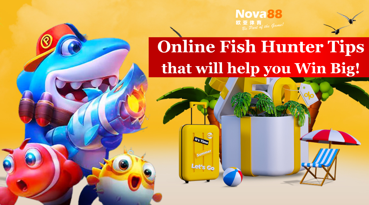 Fish Hunter Tips for Beginners - Nova88Best